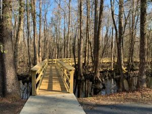 Swamp Fox Points of Interest – Discover Francis Marion